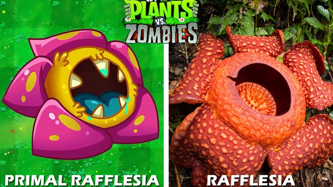 Plants Vs Zombies 1&2 All Characters in Real Life Compilations - YouTube