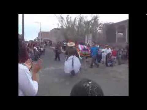 Tradicional Torito De Petate Capacho Michoacán 2014 - YouTube
