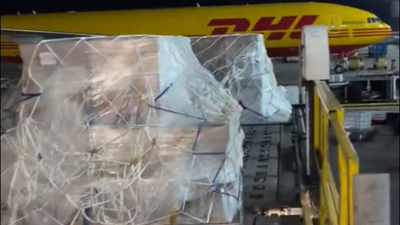 LOADING HÀNG HOÁ LÊN MÁY BAY | DHL EXPRESS | LOGISTICS VIETNAM 🇻🇳 - YouTube
