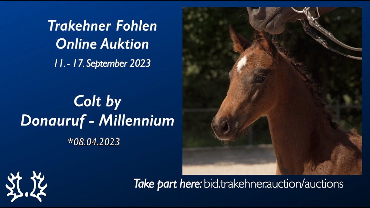 13 - Herzschlag - Colt by Donauruf - Millennium - YouTube