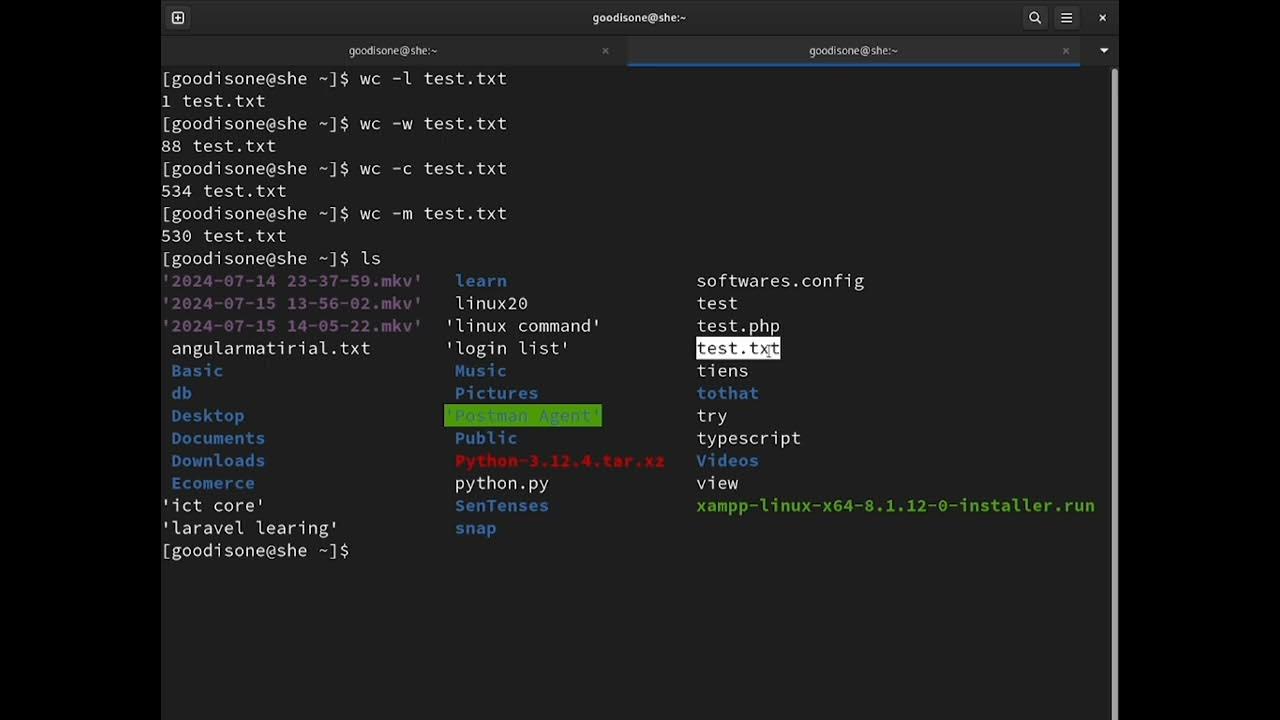 Get Start with Linux | Check File Information in Linux | Part 02 - YouTube