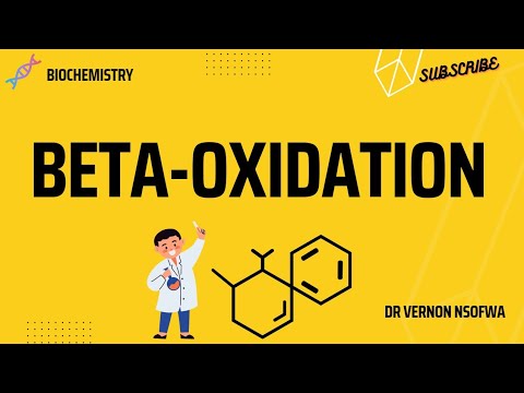 BETA-OXIDATION | BIOCHEMISTRY - YouTube