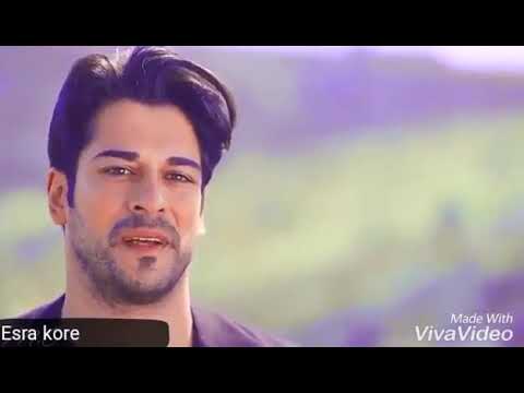 Kemal ve Nihan [Zakkum Gökyüzünde]