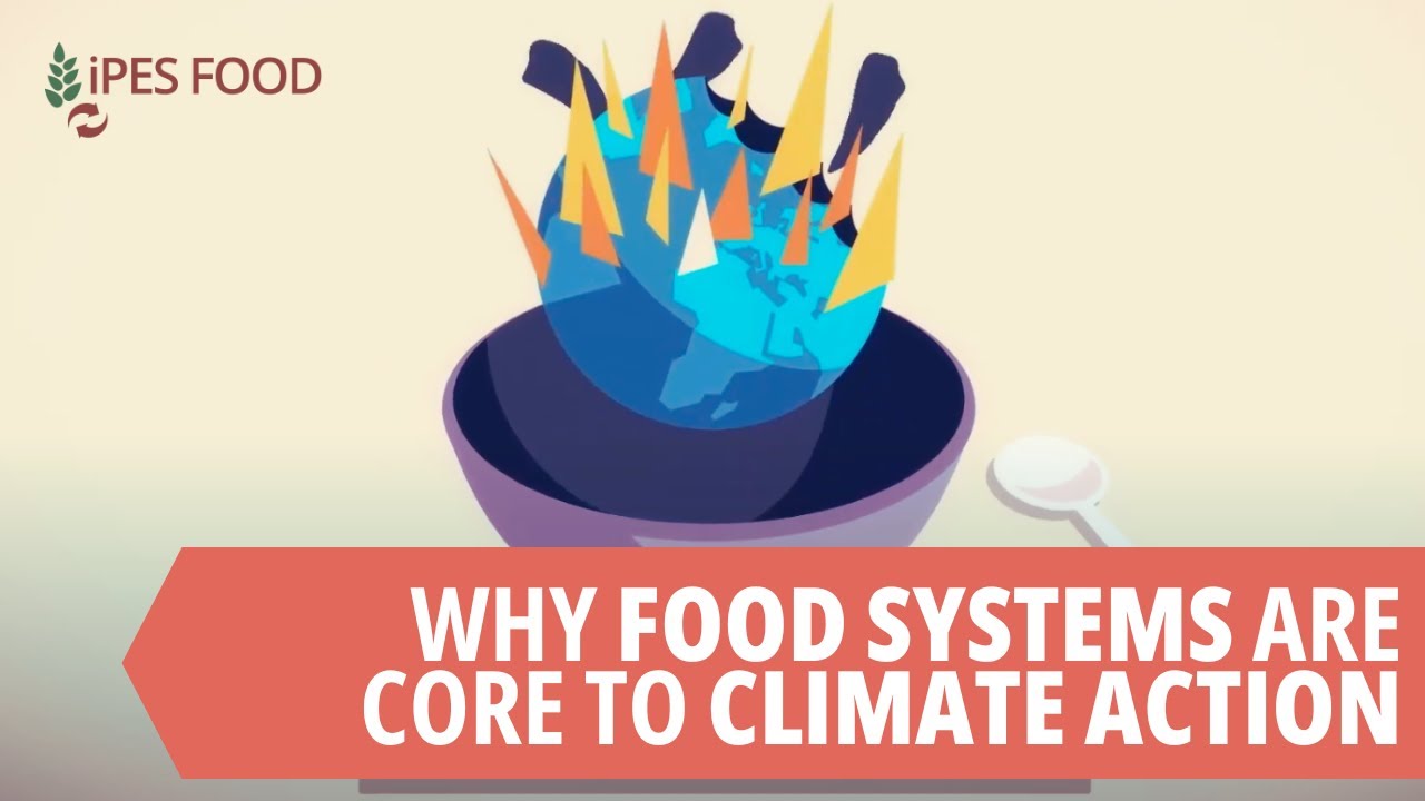Food systems at the heart of climate action: the Glasgow Food & Climate ...
