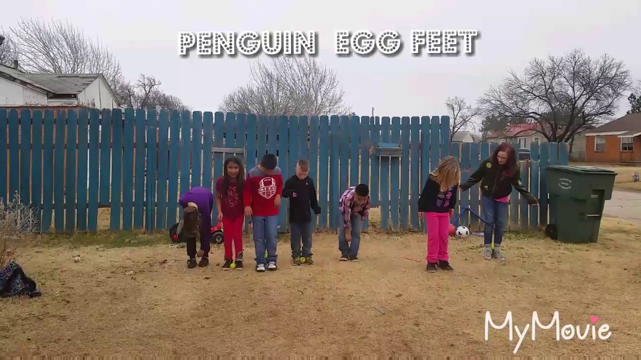 EMPEROR PENGUIN EGG FEET RELAY RACE CHALLENGE - YouTube