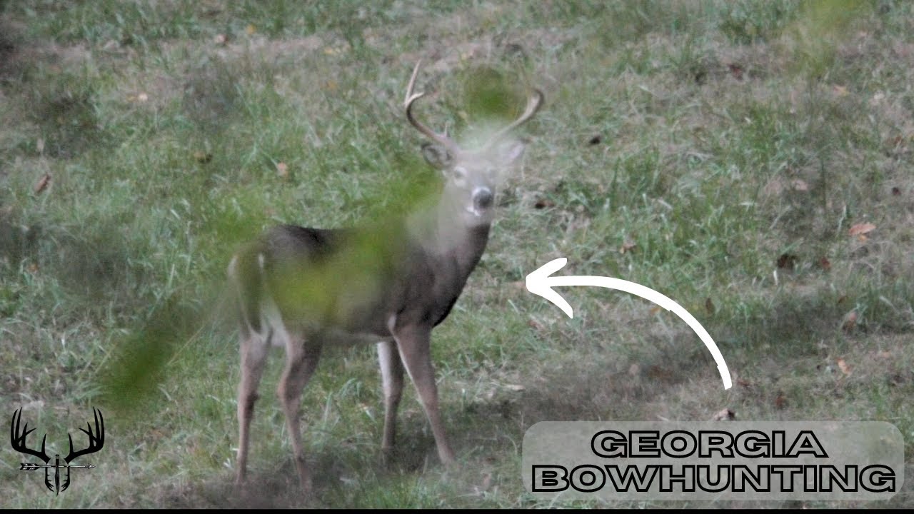 Cold Fronts Making Deer Move! Bowhunting GA 2023! - YouTube