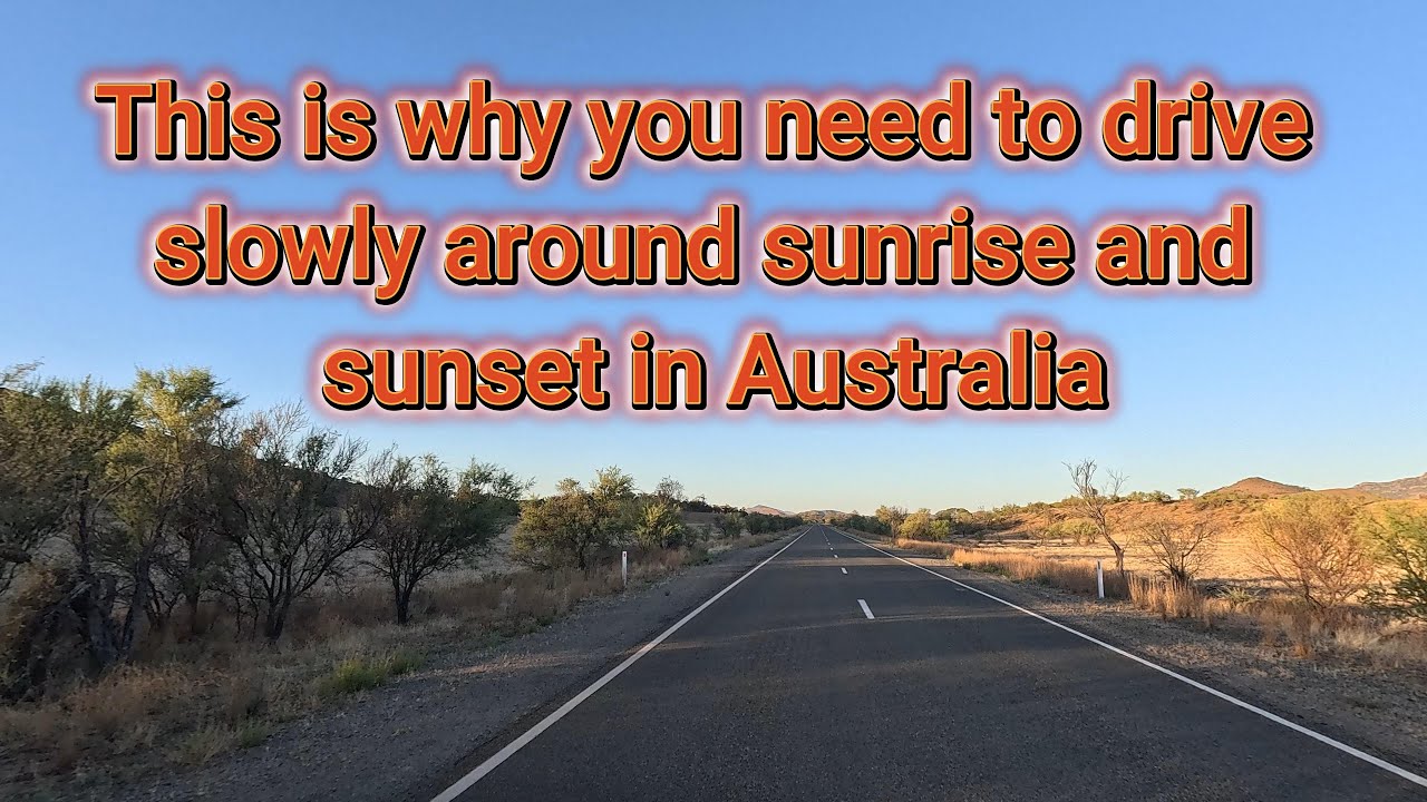 Kangaroo Warning - Australian Outback - YouTube