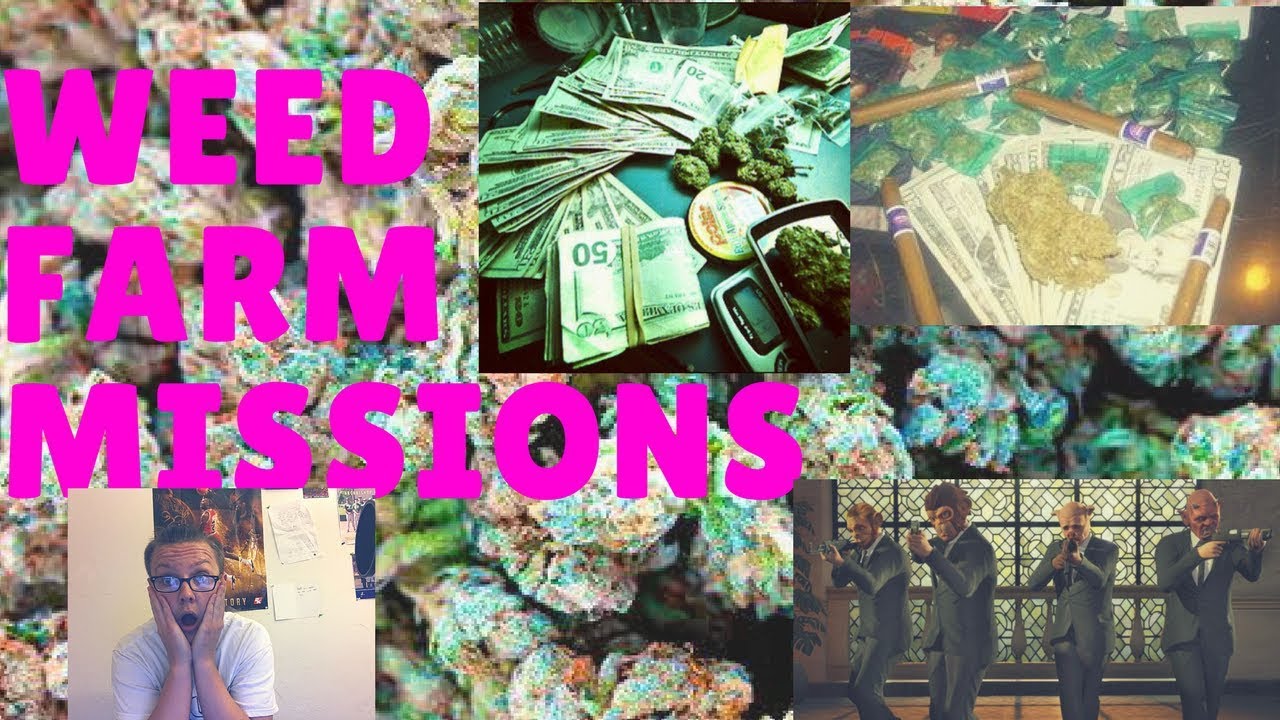 Gta 5 weed farm missions - YouTube