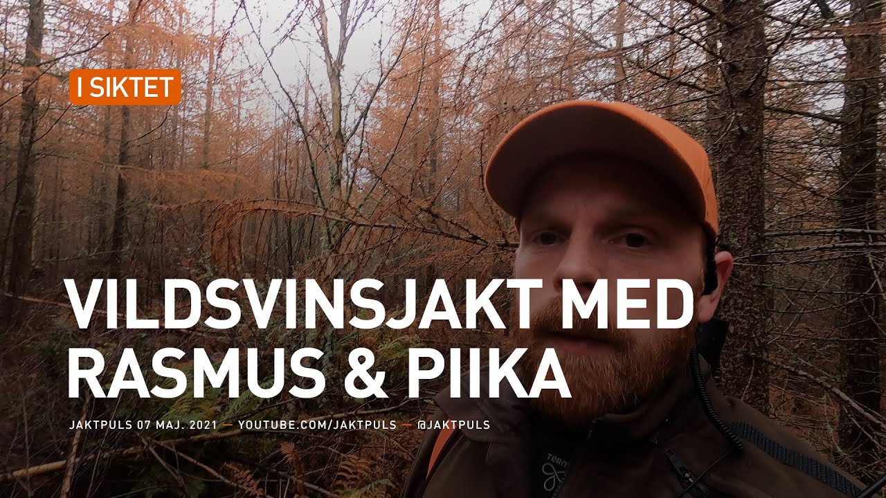 Vildsvinsjakt med Rasmus & Piika - YouTube