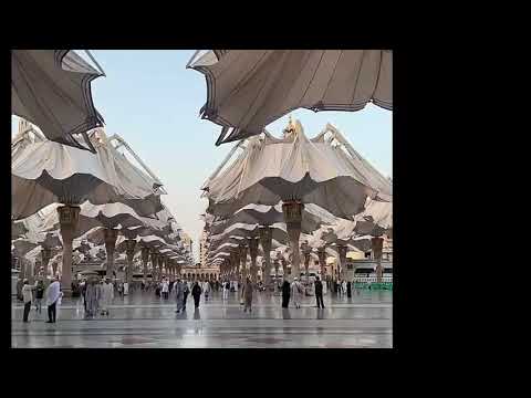 Madina tik tok video