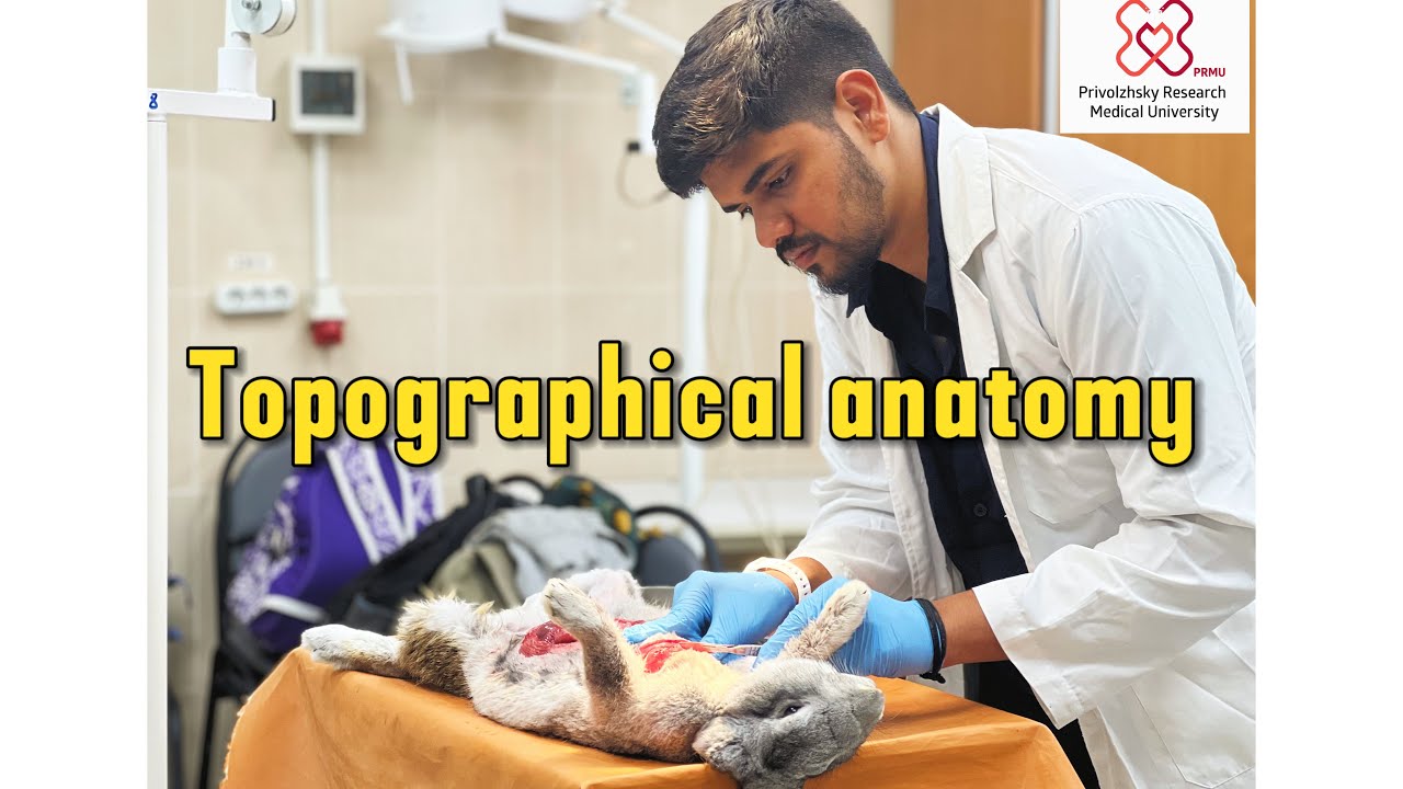 Topographical anatomy class in privolzhsky research medical university ...