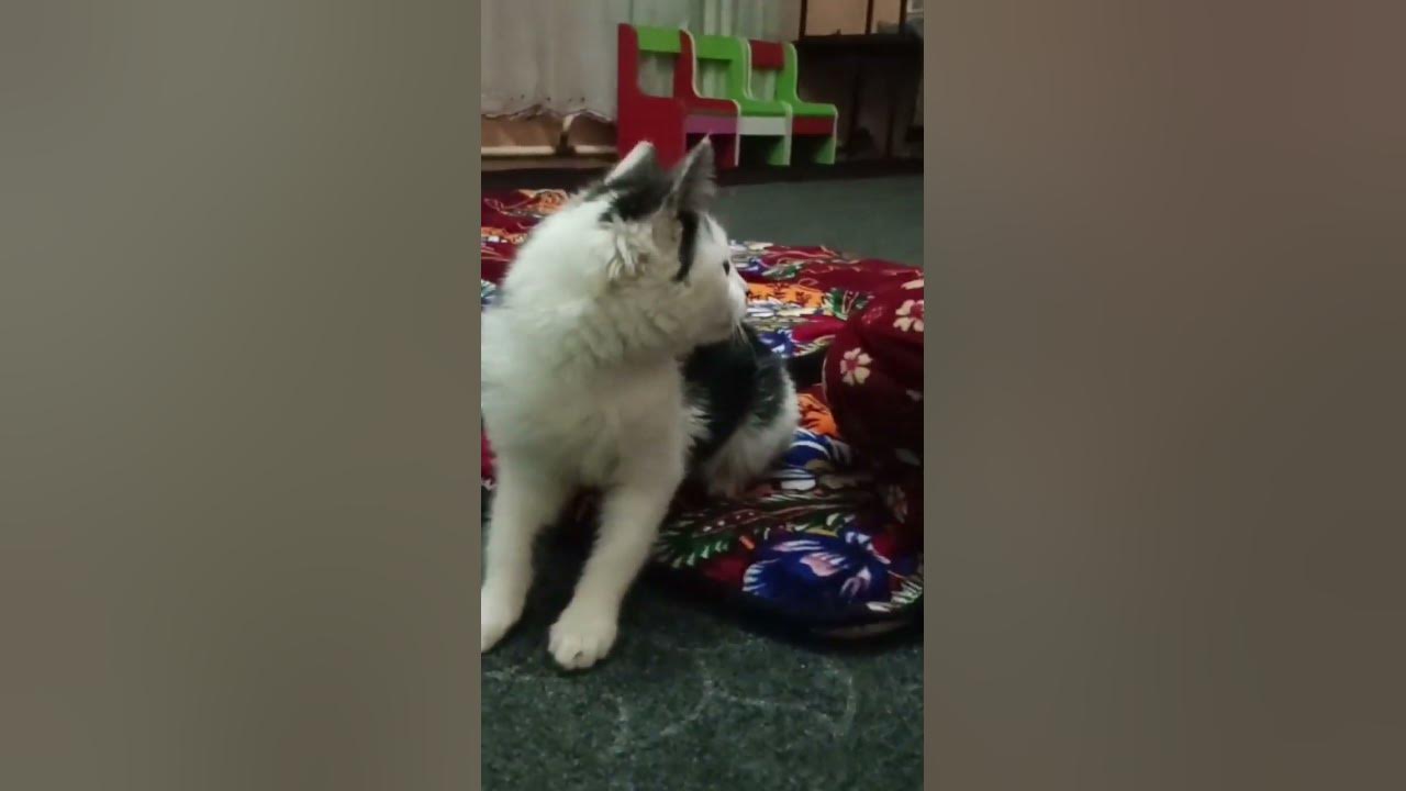 07.01.2024.100 OBUNACHI BOLDIK KATTAKON RAXMAT - YouTube