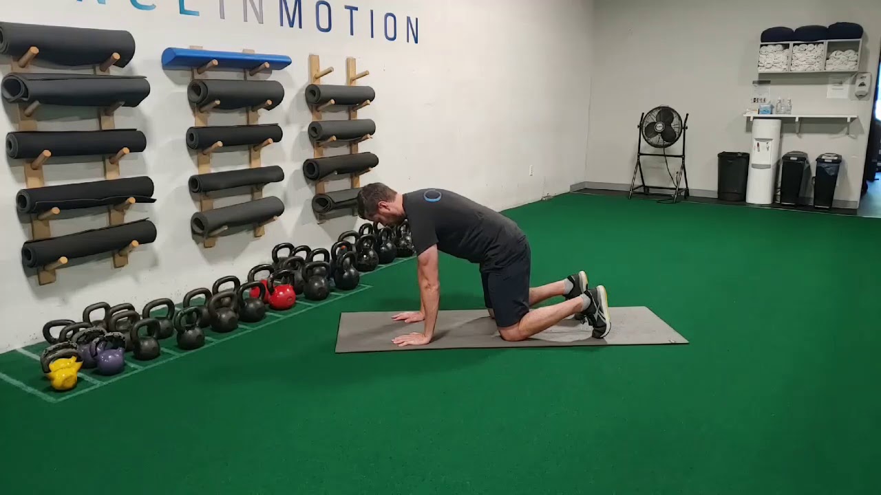 Lazy Bear Breathing - YouTube