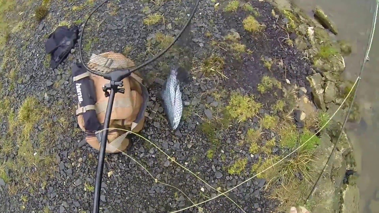 woodburn trout fishery - YouTube