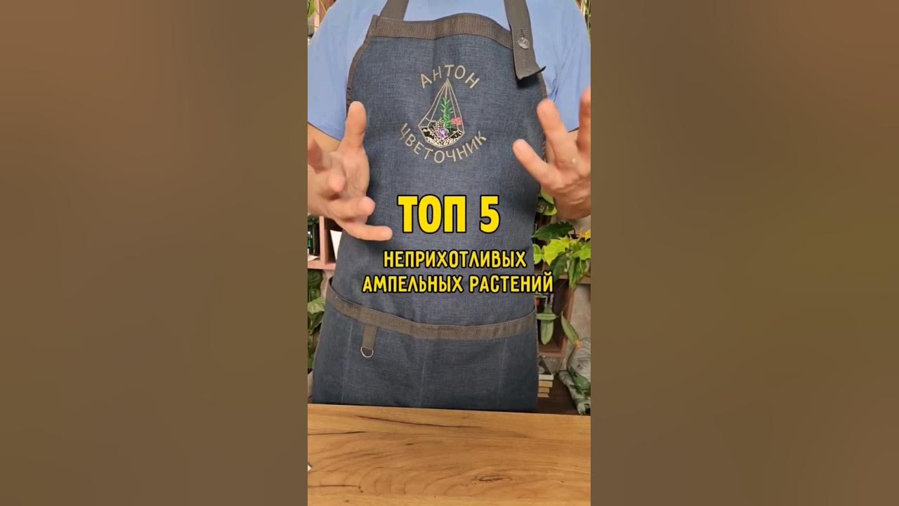ТОП 5 неприхотливых но при этом необычных растений Youtube