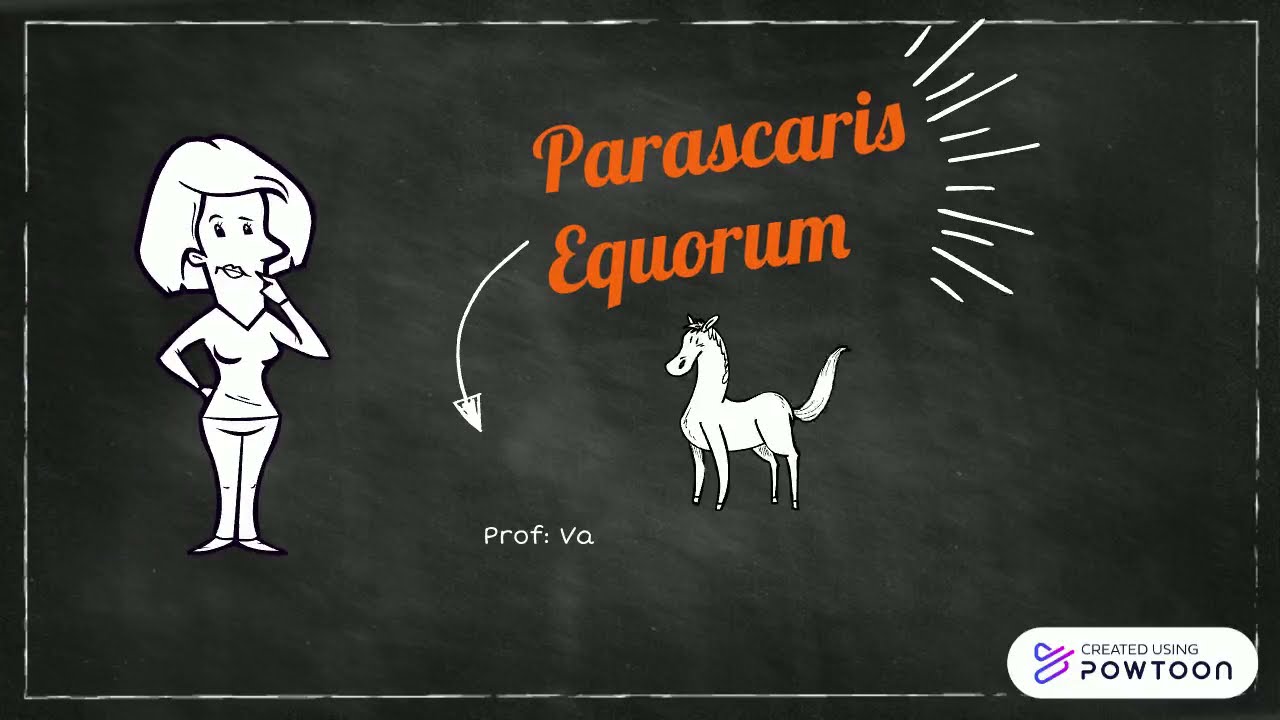 Parascaris Equorum - YouTube