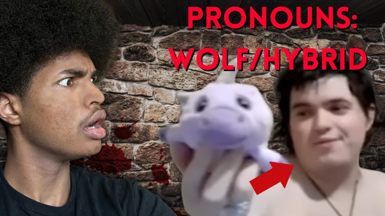 The Weirdest TikTok Predator To Ever Exist.. - YouTube
