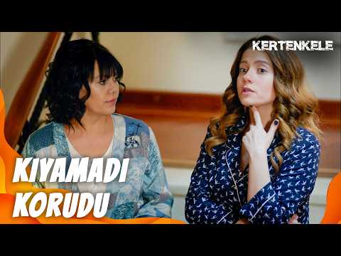 Zehra hem yakalattı hem de korudu - Kertenkele 51. Bölüm