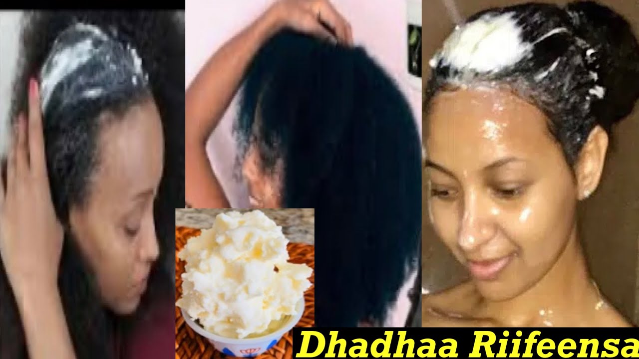 Dhadhaa Riifeensa karra salphaa taheen 👉 Guddinaa fi laafina riifeensa ...