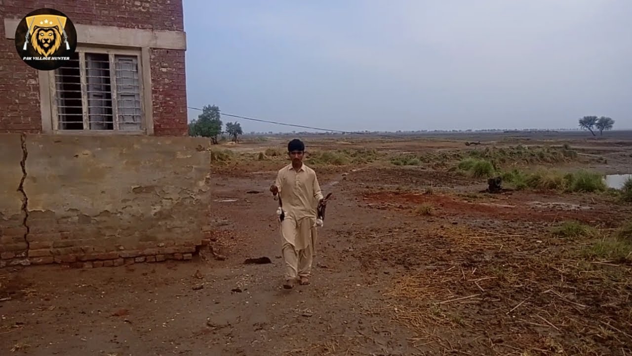 Birds Hunting With 12 Bore Gun / Hunting Season 2023/ Hunting in ...