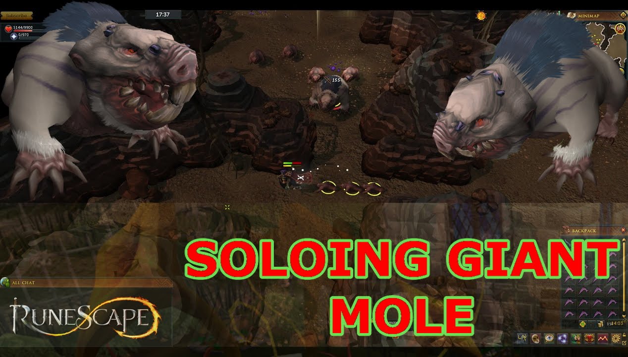 Solo-ing Giant Mole Boss (RuneScape)! - YouTube