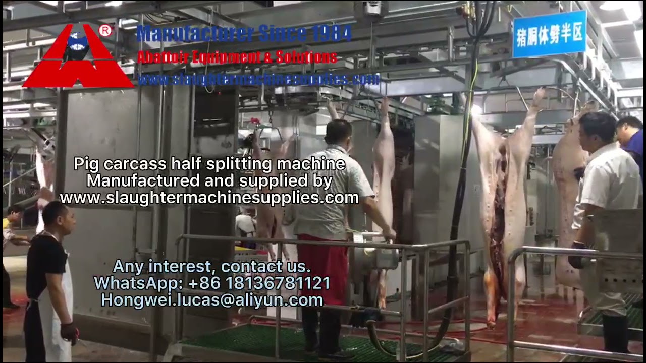 how does pig carcass splitting machine work? hog abattoir slaughtering ...
