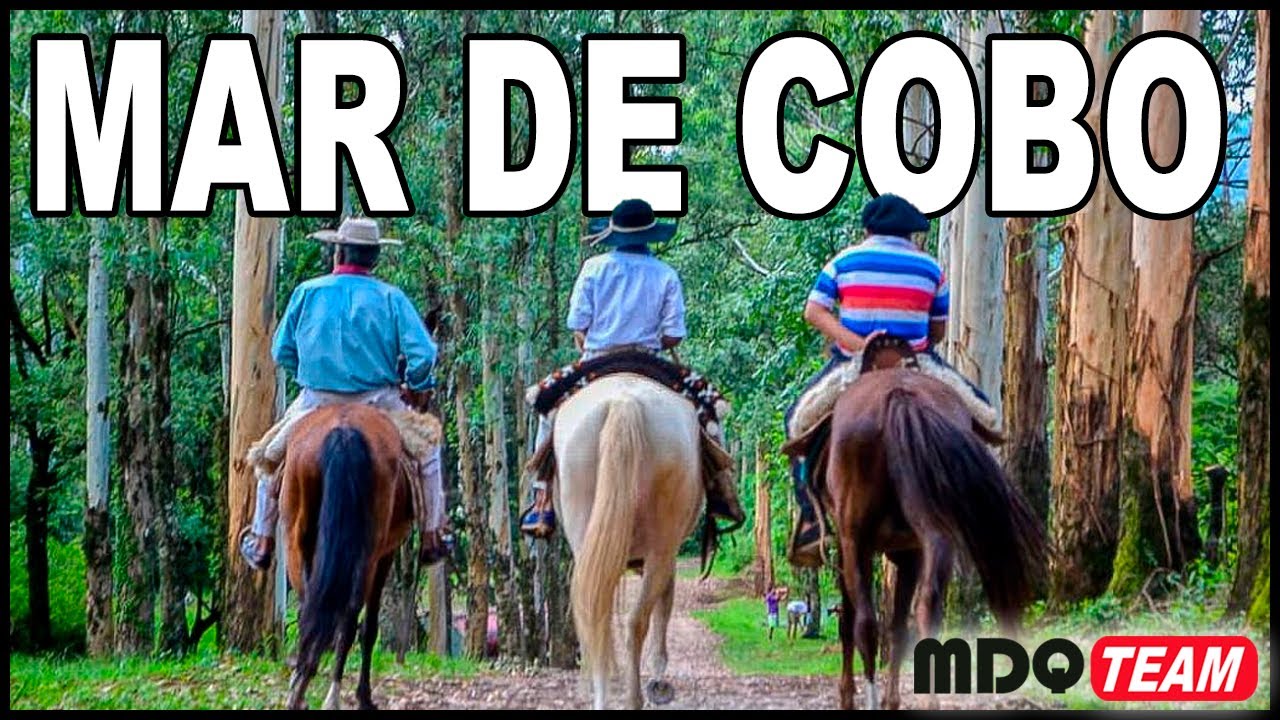 MDQTEAM TURISMO - CONOCIENDO MAR DE COBO - YouTube