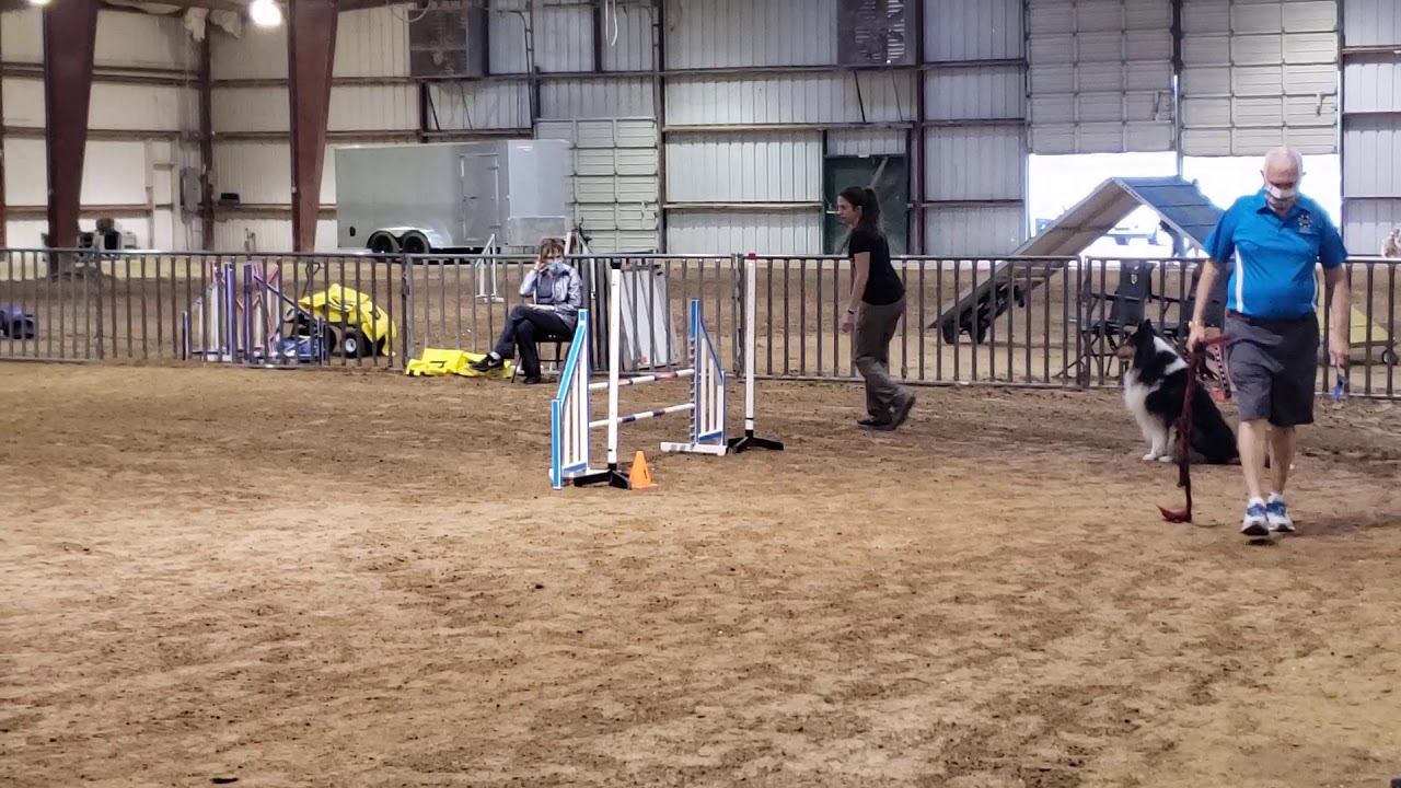 akc-agility-t2b-nov-2020-youtube