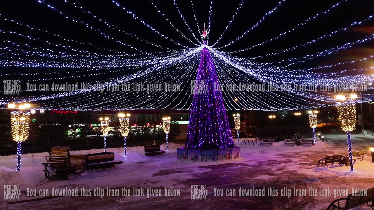 Christmas tree in the park at night. - YouTube