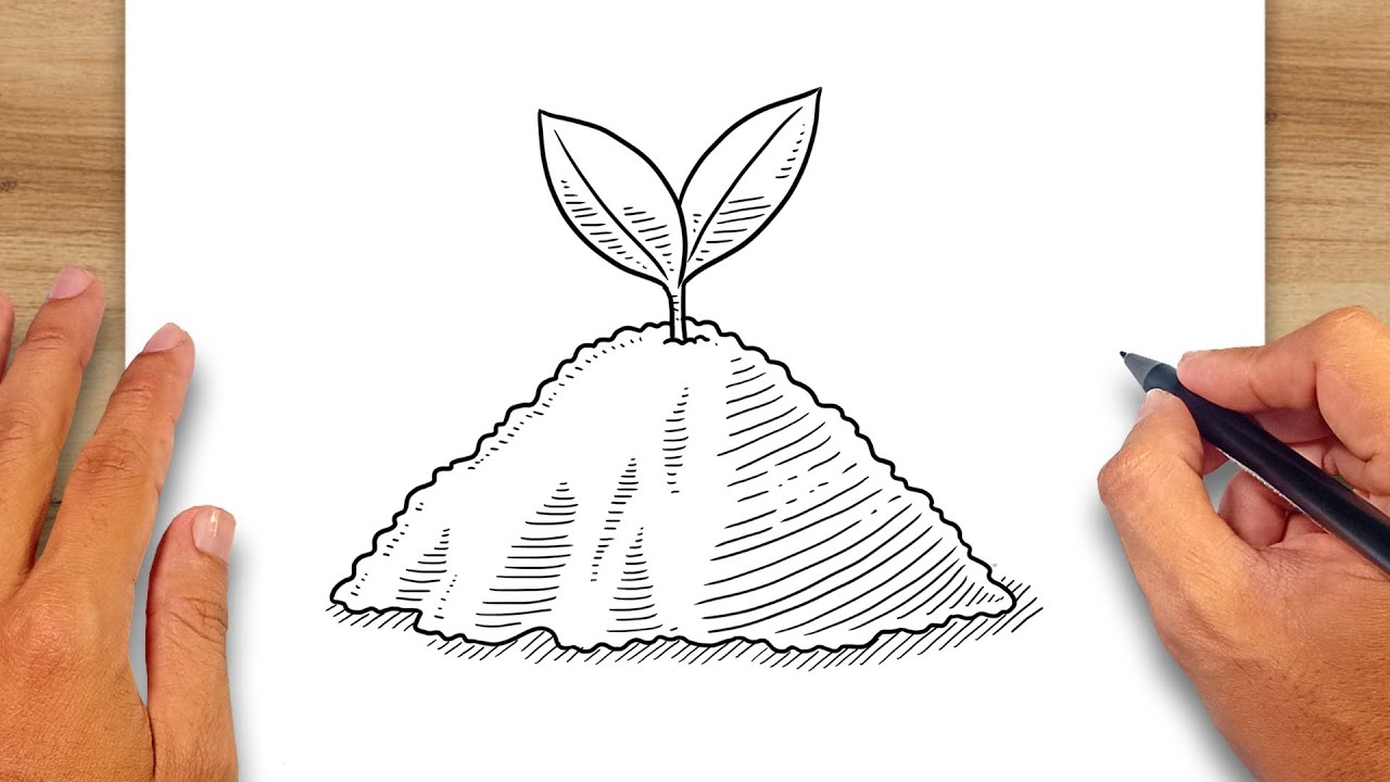How to draw Earth Soil - Soil Drawing Ideas - YouTube
