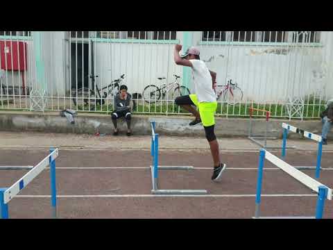 apprentissage passage de haies sabir z