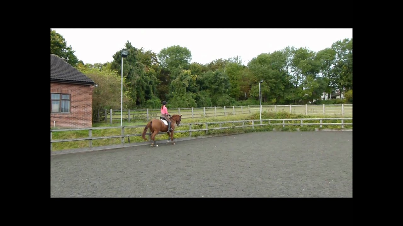 Red medium trot - YouTube