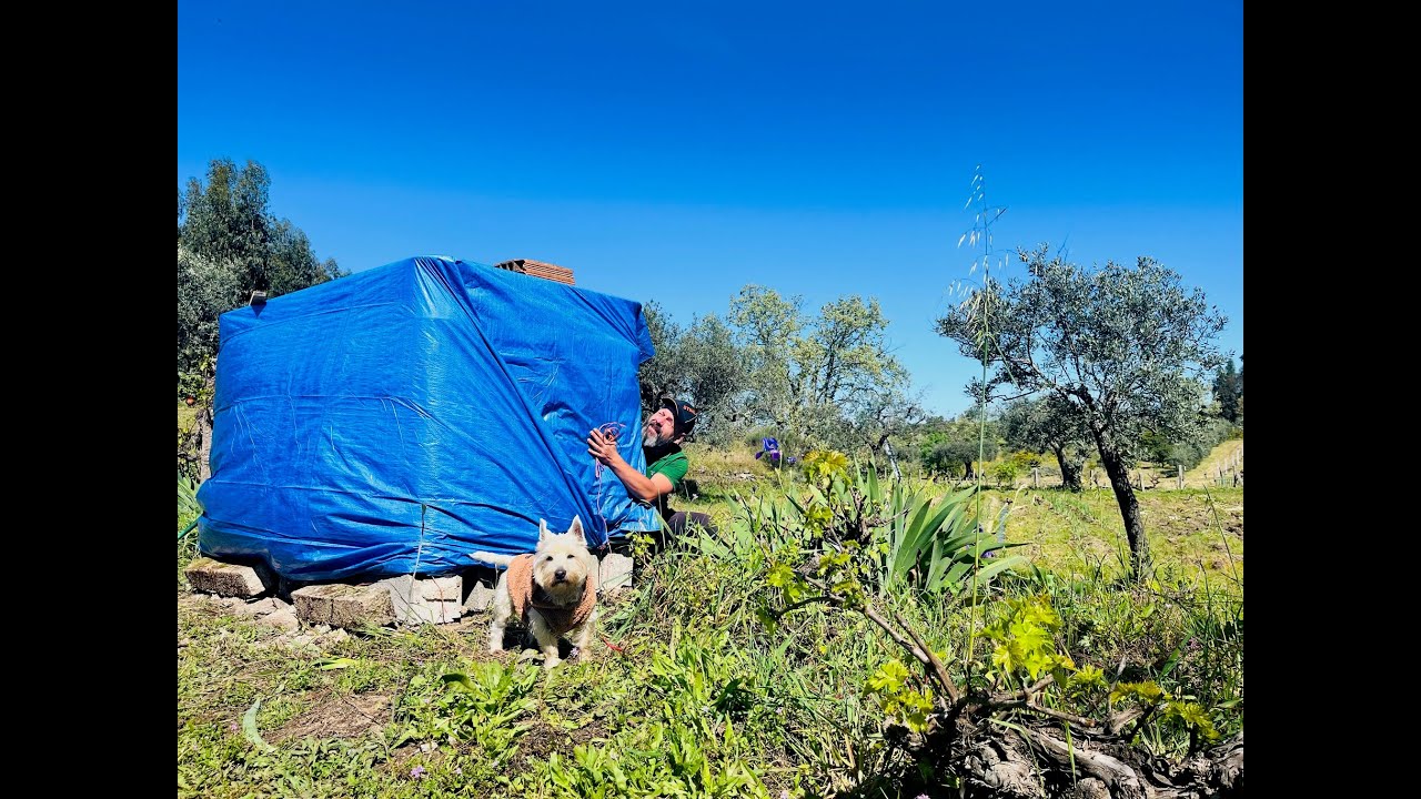 Incredible Reality of Off-Grid Homesteading - YouTube