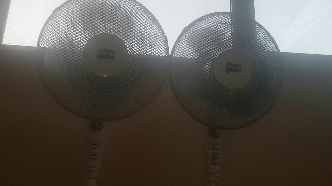 The Twin Fans - YouTube