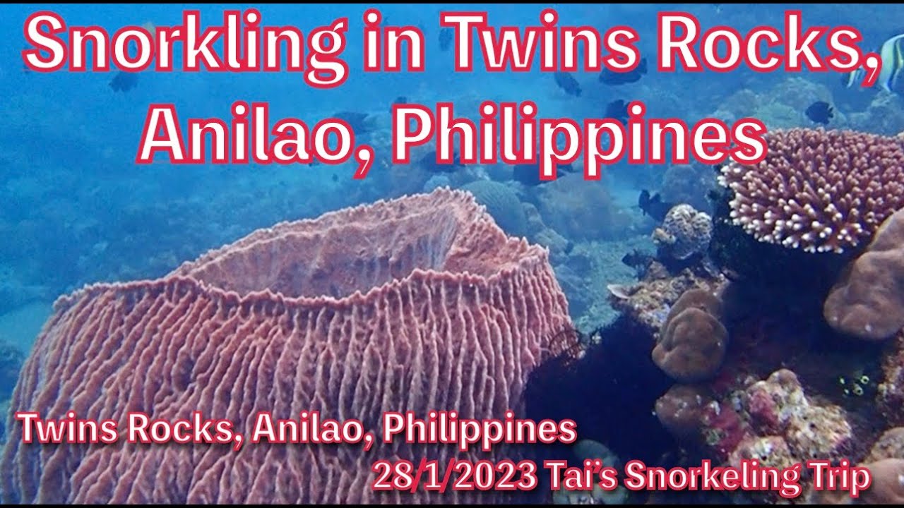 63 Tai’s Snorkeling Trip 】Snorkeling in Twins Rocks, Anilao ...