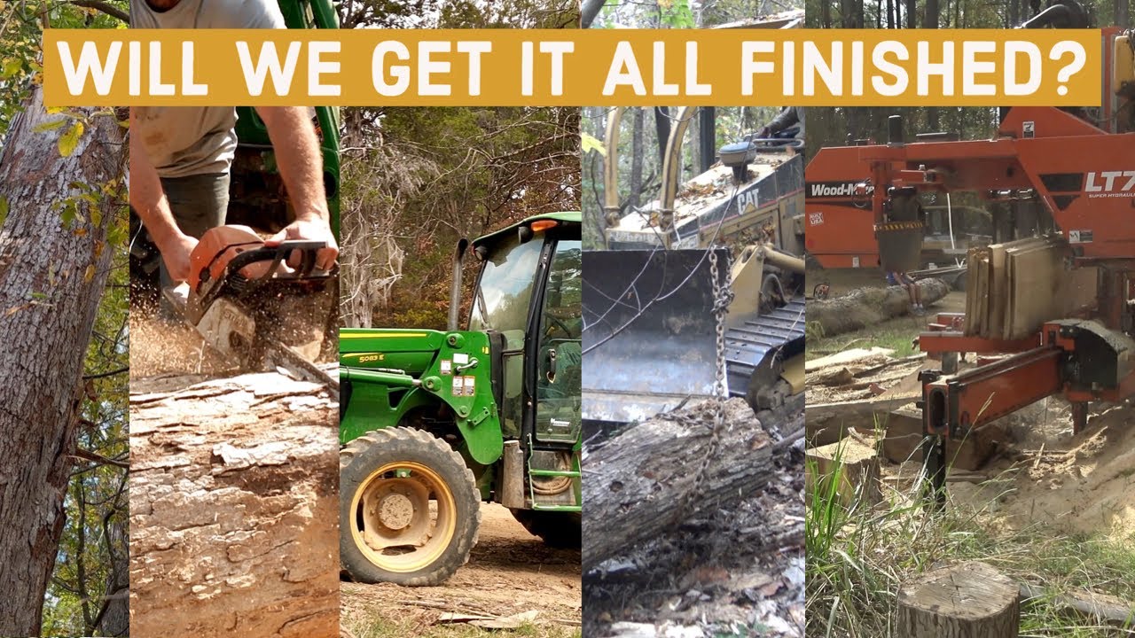 White Oaks, Chainsaw, Tractor, Dozer, and Sawmill | Will we get it all ...