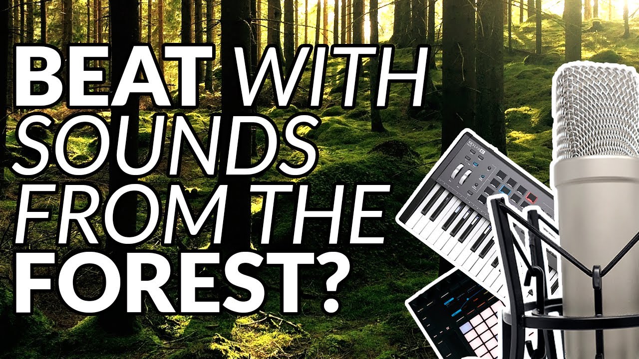 Nature sounds beat - Made with sounds recorded from the forest! - YouTube