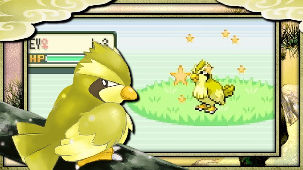Live Shiny Pidgey on LeafGreen after 4,038 REs - YouTube