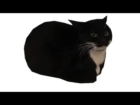 cat dingus/maxwell cat nextbot - YouTube