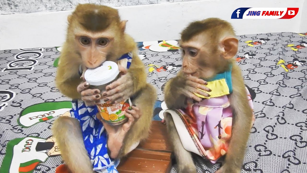 Will JING SUCCEED In Getting Candy For HUNGRY JI ! WATCH TILL THE END ...