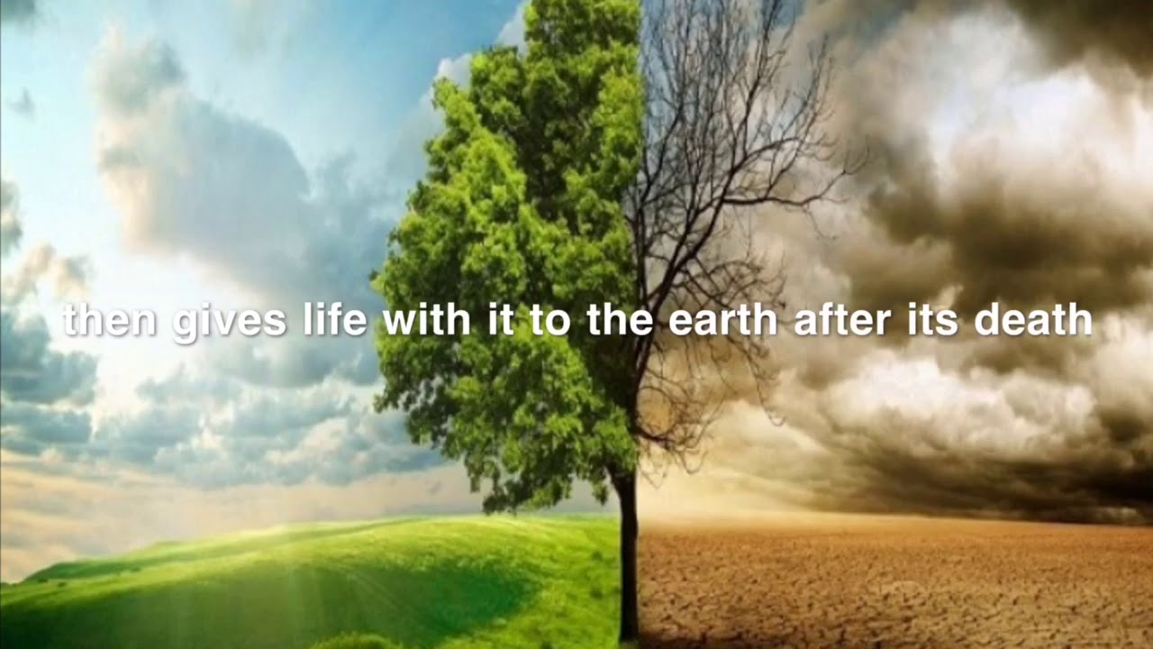 Signs of allah in nature - YouTube