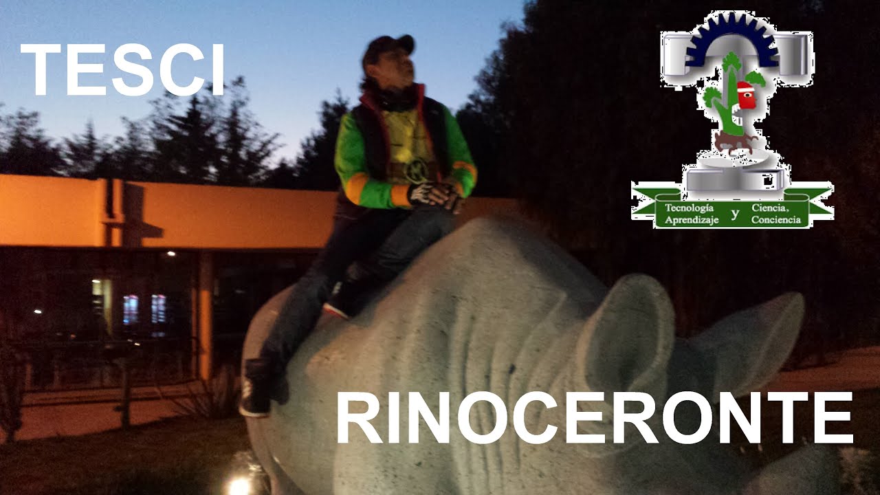 Rino - TESCI - YouTube