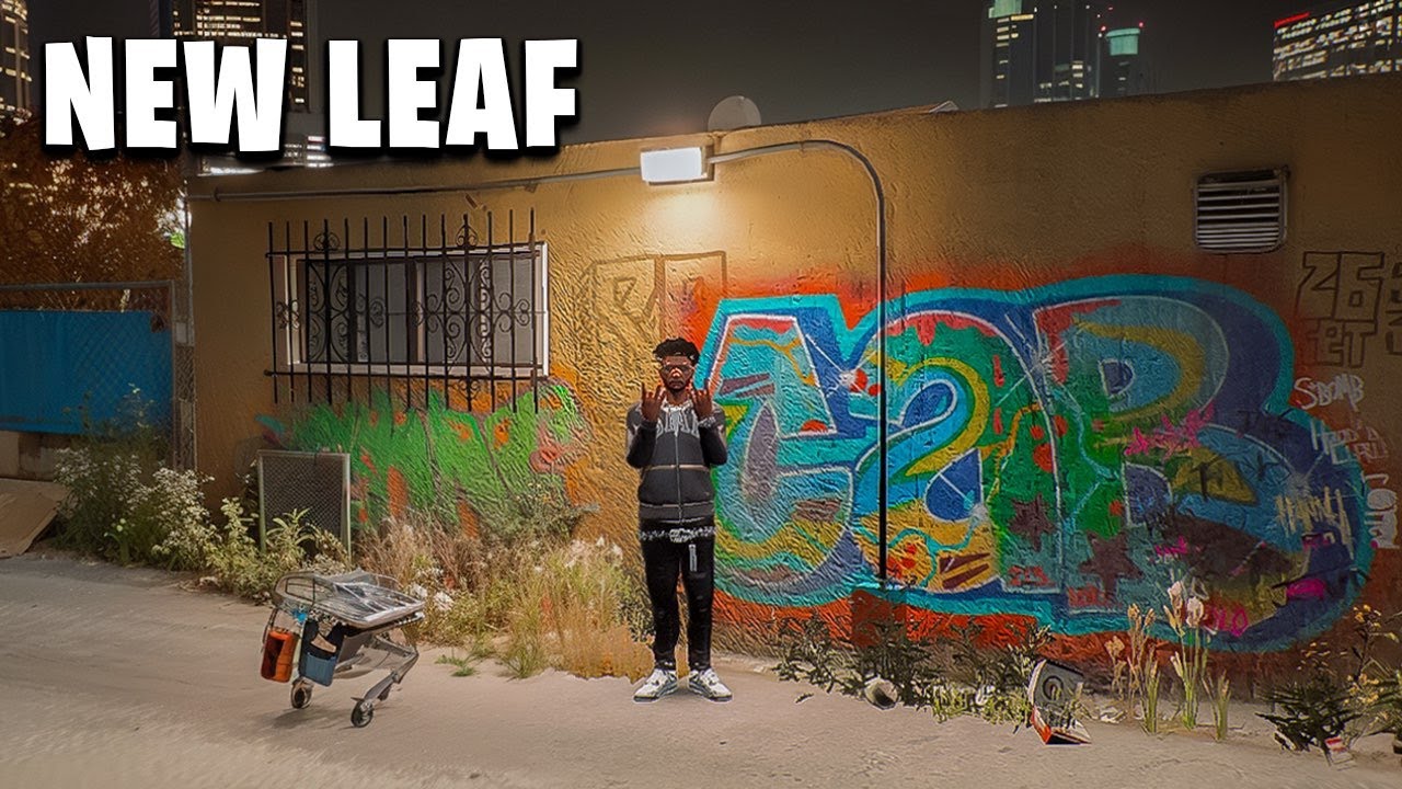 I GOT JUMPED IN NEW LEAF | GTA RP - YouTube