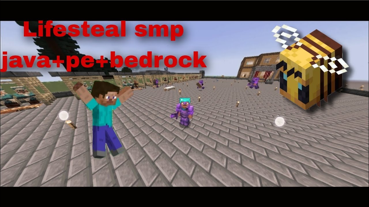 New Lifesteal public smp for java+pe+bedrock||Lifesteal smp ...