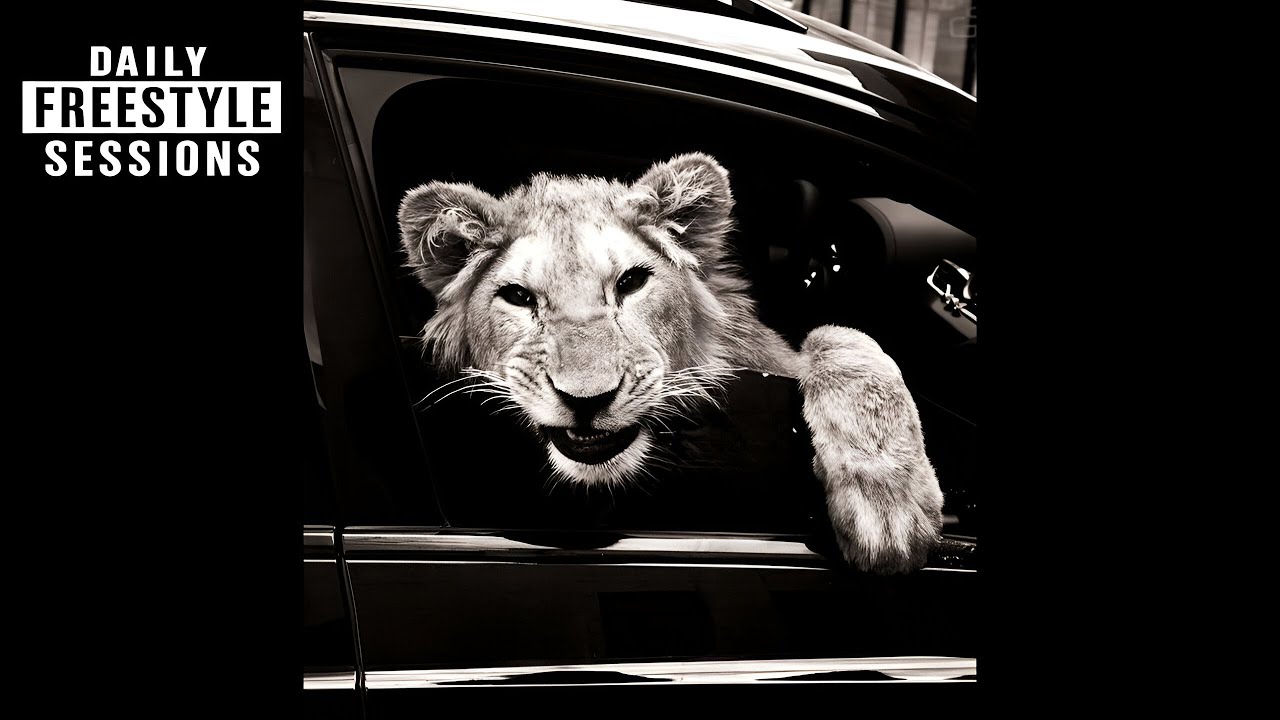 Freestyle Lions Don’t Sleep. Just Spit Fire [Rap Type Beats MIX 2025 ...
