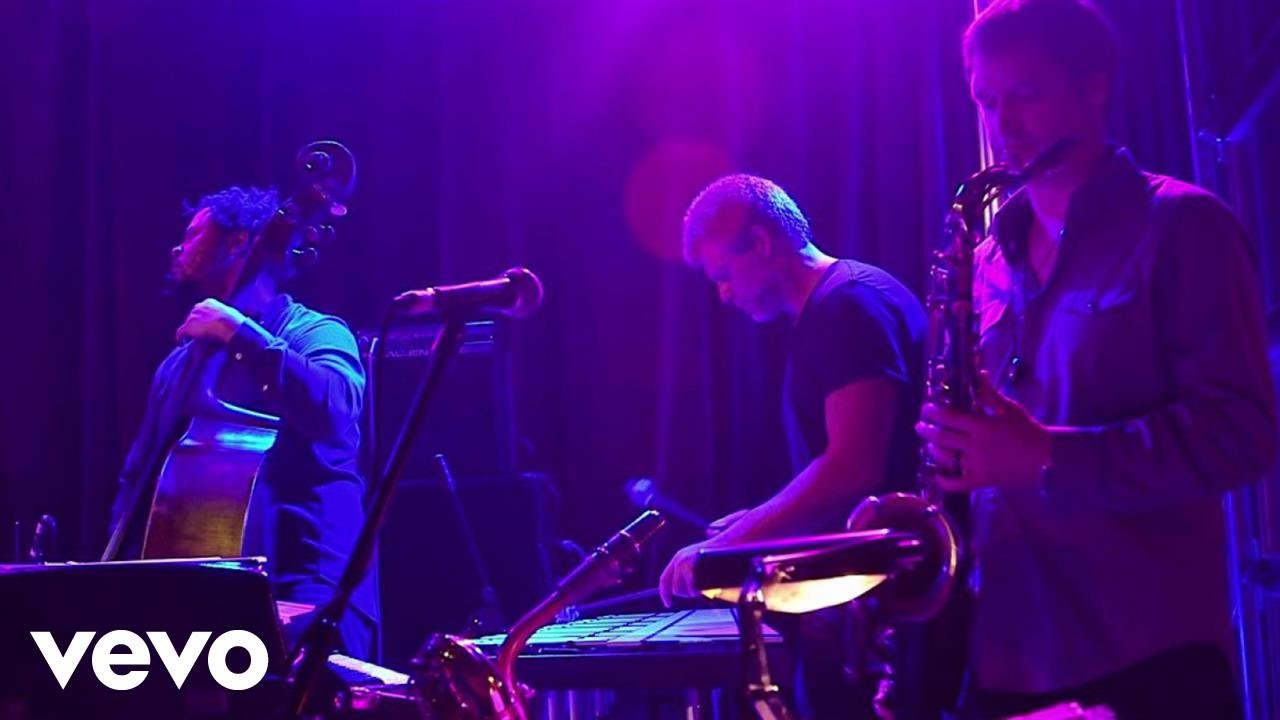 Tuatara - She Dreams of Snow (Live) From Shamanic Nights, Live in the ...