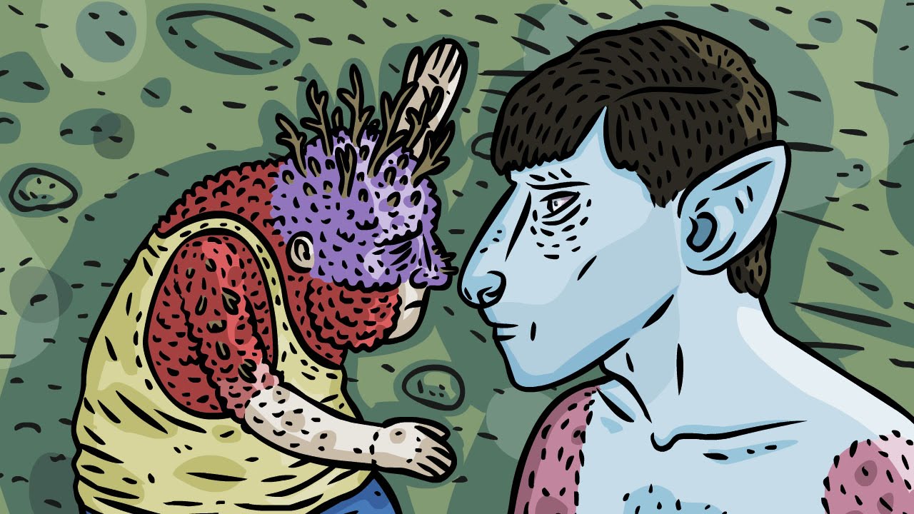 The Adventures of Frank and Perry #5: Fruit Bat - YouTube