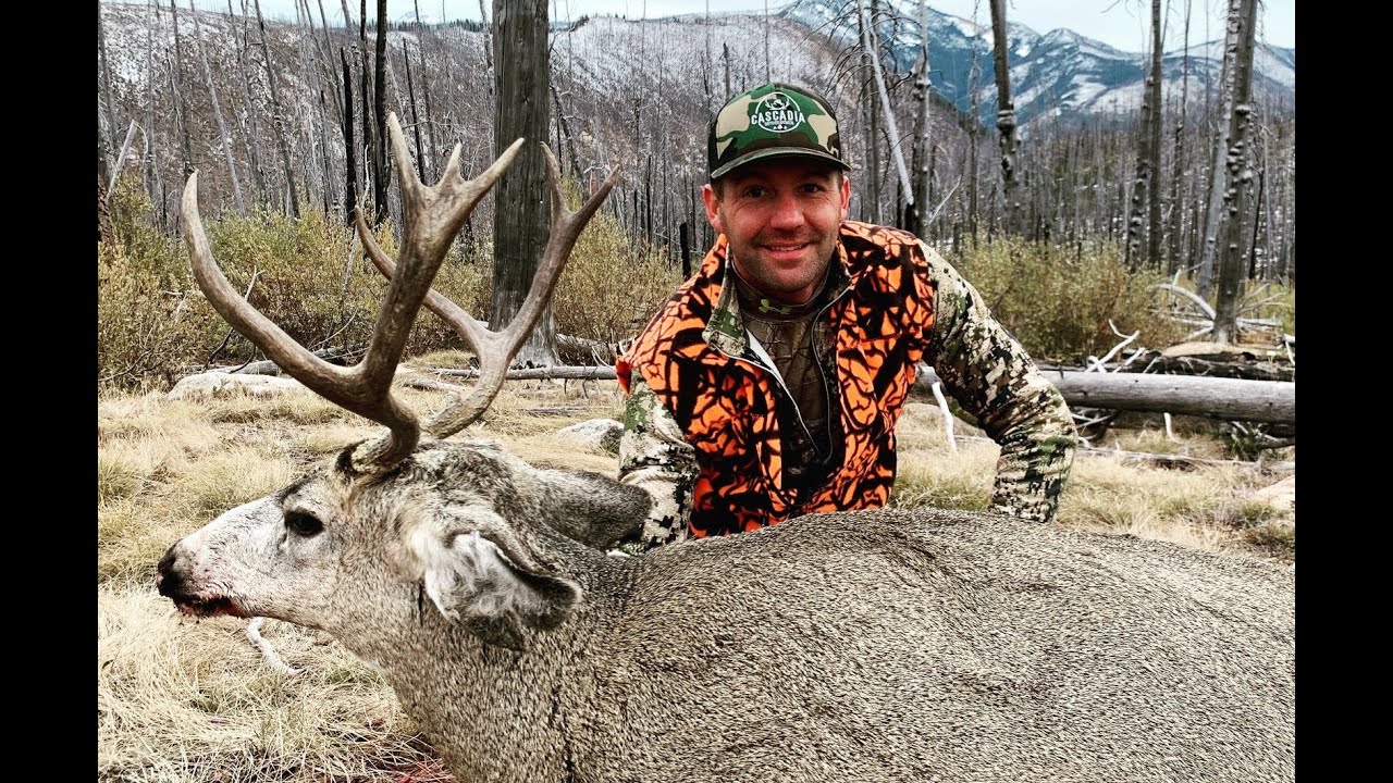 High Country Washington Deer Hunt 2019 "BUCK DOWN" with Cascadia ...