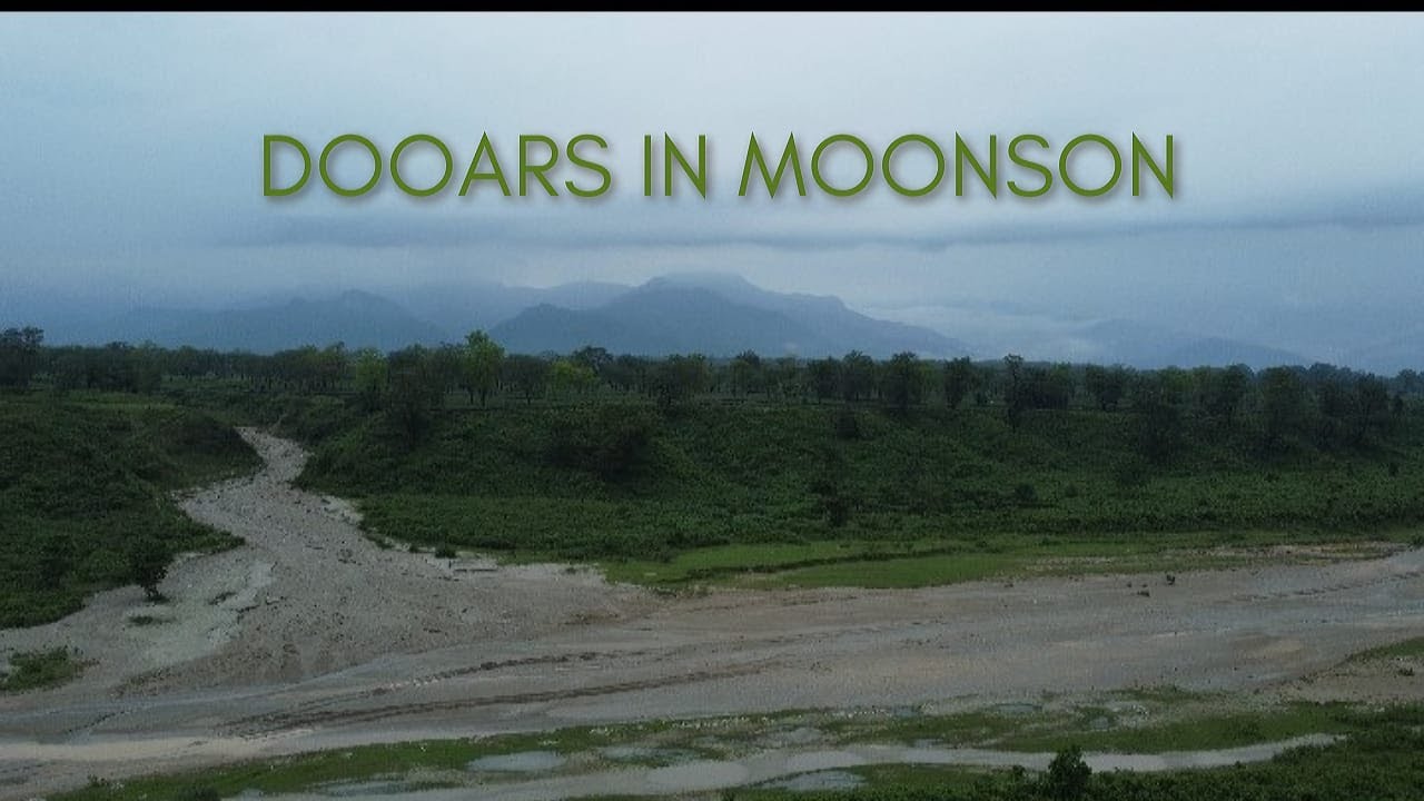 Dooars Tour guide । Dooars cinematic video । Dooars in Moonson ...