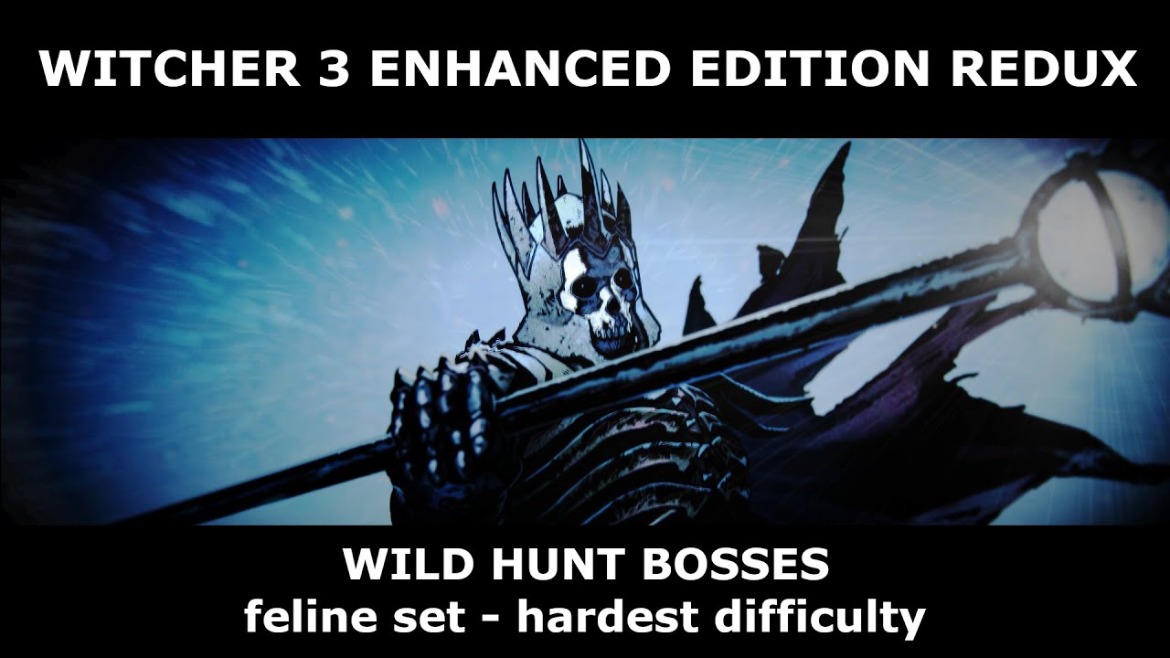 Wild Hunt Bosses Feline Set Hardest Difficulty. Witcher 3 Enhanced ...